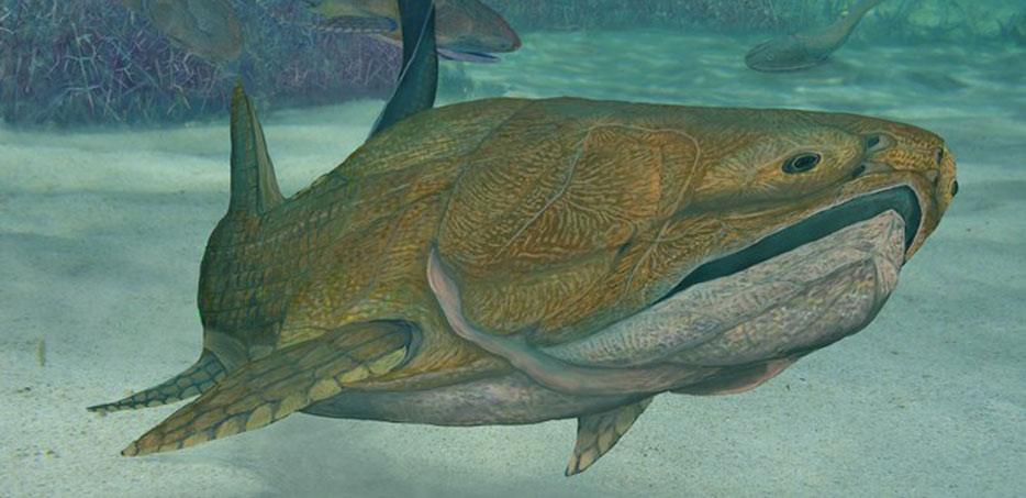 Extraordinary ‘missing link’ fossil fish found in China - News ...