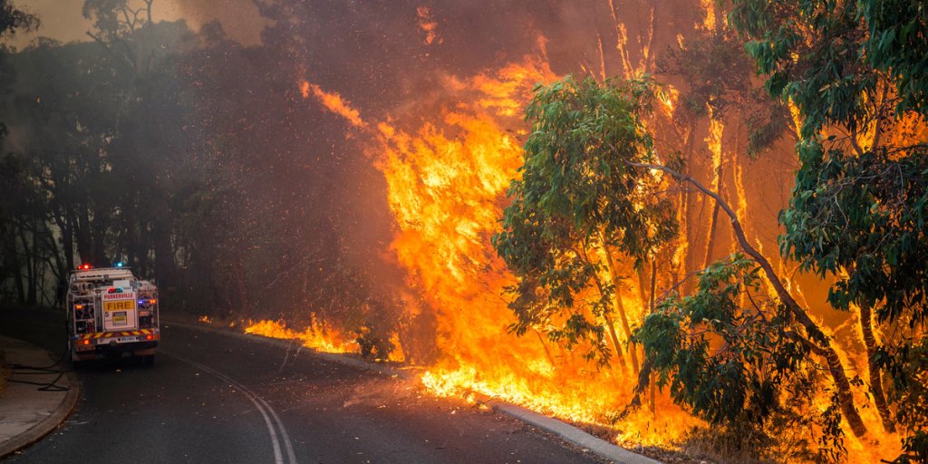 Our deadly bushfire gamble - News | InDaily, Inside South Australia