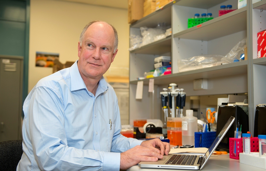 Harnessing China’s people power for research - News | InDaily, Inside ...